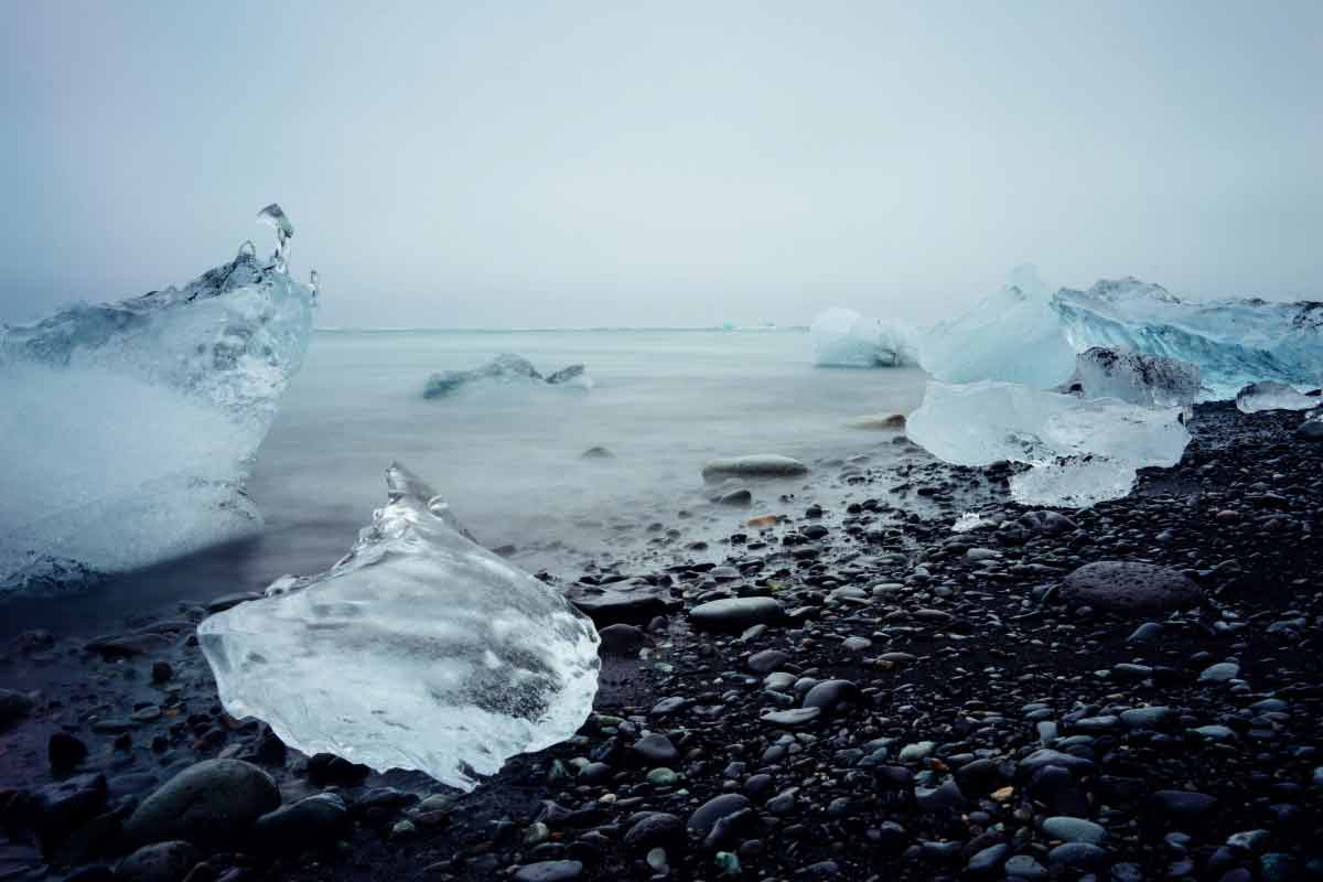 20 Scary Facts about Climate Change that You Should Know - Primates Park